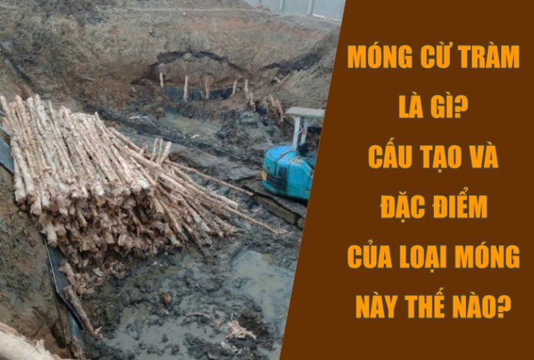 Móng Cừ Tràm Là Gì? Cấu Tạo Và Đặc Điểm Của Loại Móng Này Thế Nào?